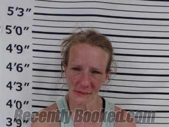Recent Booking / Mugshot for KRISTI FOWLER in Dale County, Alabama