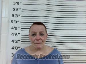 Recent Booking / Mugshot for TIFFANY LONG in Dale County, Alabama