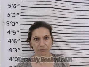 Recent Booking / Mugshot for LISA COOPER in Dale County, Alabama