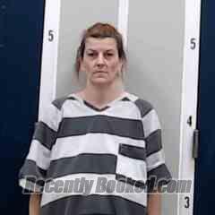 Recent Booking / Mugshot for APRIL STEELE in DeKalb County, Alabama