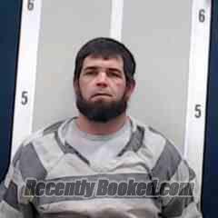 Dustin Bell Mugshot & Arrest Info | DeKalb County, AL