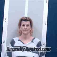 Recent Booking / Mugshot for APRIL STEELE in DeKalb County, Alabama