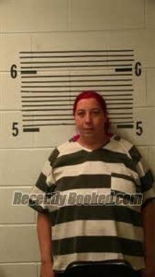 Recent Booking / Mugshot for AMANDA STRENGTH in Elmore County, Alabama