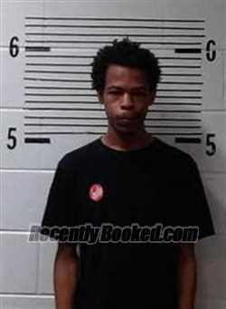 Recent Booking / Mugshot for L JOHNSON in Elmore County, Alabama