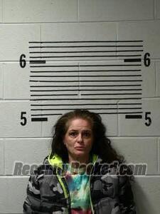 Recent Booking / Mugshot for ANGELIA NELSON in Elmore County, Alabama