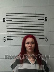 Recent Booking / Mugshot for MANDY TATE in Elmore County, Alabama