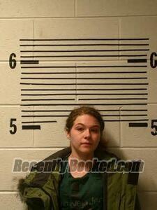 Recent Booking / Mugshot for ALEXIS MCDANIEL in Elmore County, Alabama