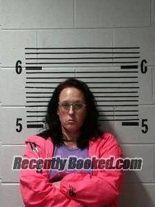 Recent Booking / Mugshot for CARRIE DRAKE in Elmore County, Alabama