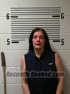 Recent Booking / Mugshot for AUDRA FORD in Elmore County, Alabama