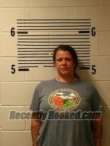 Recent Booking / Mugshot for AMANDA SELLERS in Elmore County, Alabama