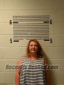 Recent Booking / Mugshot for LISA LOFTIS- VISANT in Elmore County, Alabama