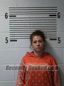 Recent Booking / Mugshot for AMANDA NELSON in Elmore County, Alabama