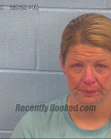 Recent Booking / Mugshot for SHANNON RENEE HANEY in Etowah County, Alabama