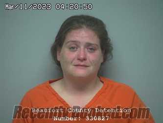Recent Booking / Mugshot for MEGAN NICOLE PLOTKIN in Beaufort County ...
