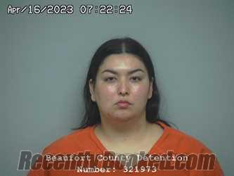 Recent Booking / Mugshot for RACHEL HOPE CARRILLO in Beaufort County ...