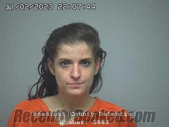Recent Booking / Mugshot for EMILY GRACE HIGGINS in Beaufort County ...