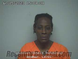 Recent Booking / Mugshot for CRYSTAL ELIZABETH HOWARD in Beaufort ...