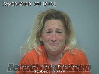 Recent Booking / Mugshot for MELANIE LYNN BASILE in Beaufort County ...
