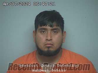 Recent Booking / Mugshot for RAMON HERNANDEZ HERNANDEZ in Beaufort ...