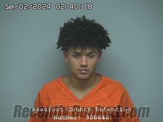 Recent Booking / Mugshot for GAVIN NICHOLAS TIRADO in Beaufort County ...