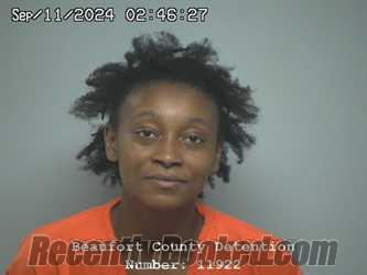 Recent Booking / Mugshot for MICHELLE ELLESA WILLIAMS in Beaufort ...
