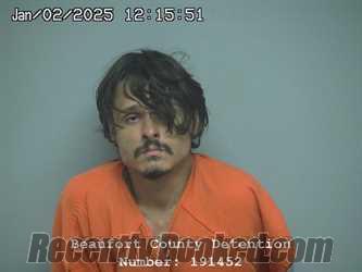 Recent Booking / Mugshot for TYLER JOHN HERRITT in Beaufort County ...