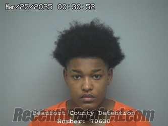 Recent Booking / Mugshot for HARMONI NICOLE WILLIAMS in Beaufort County ...