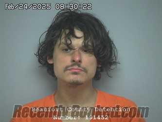 Recent Booking / Mugshot for TYLER JOHN HERRITT in Beaufort County ...