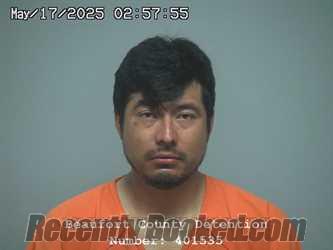 Recent Booking / Mugshot for DAVID DIAZ HERNANDEZ in Beaufort County ...