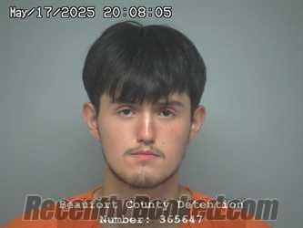 Recent Booking / Mugshot for JAVIER ROLDAN in Beaufort County, South ...