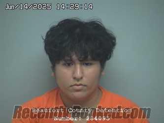 Recent Booking / Mugshot for GAEL MERIDA in Beaufort County, South Carolina