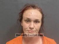 Alissa Brooke Little Mugshot & Arrest Info | Houston County, AL