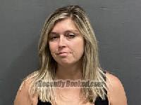 Recent Booking / Mugshot for Wanda Michelle Johnson in Houston County ...