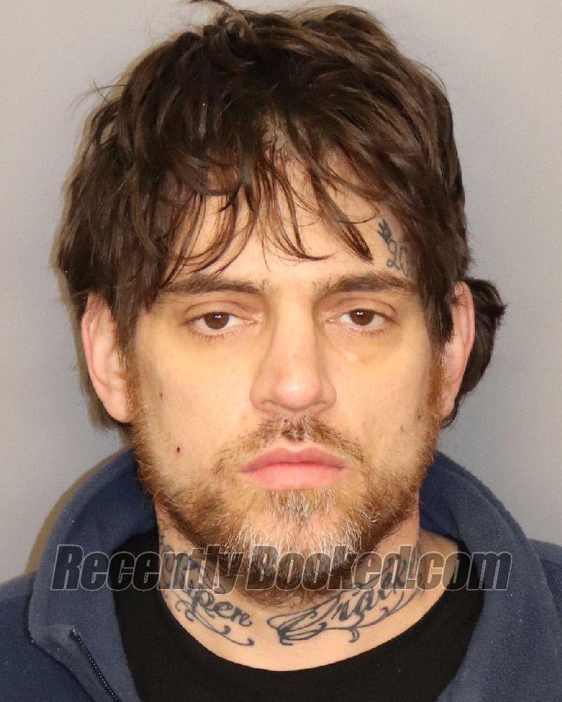Recent Booking / Mugshot for BRANDON WILLIAMS REEVES in Jefferson ...