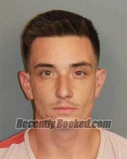 Steven Tyler Whitehead Mugshot & Arrest Info | Jefferson County, AL