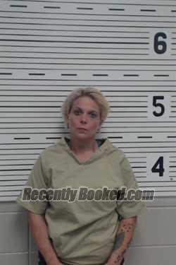 Recent Booking / Mugshot for AMANDA NICOLE BUTLER in Lawrence County ...
