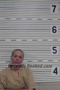 Recent Booking / Mugshot for AMANDA NICOLE BUTLER in Lawrence County ...