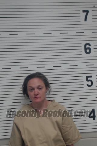 Recent Booking / Mugshot for SHELLY DYAN BOOTH in Lawrence County, Alabama