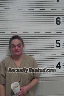 Recent Booking / Mugshot for SHELLY DYAN BOOTH in Lawrence County, Alabama