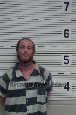 Recent Booking / Mugshot for DAVID JACE CANNON in Lawrence County, Alabama