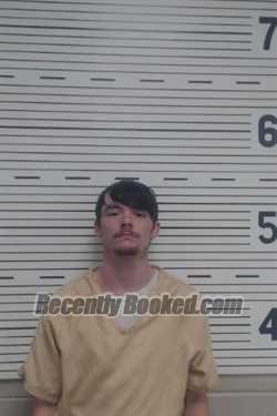 Recent Booking / Mugshot for DALLAS SHANE PROCTOR in Lawrence County ...