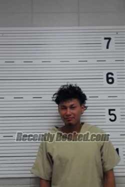 Recent Booking / Mugshot for MARCO ANTOUIO SURIANO in Lawrence County ...