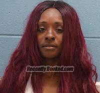 Recent Booking / Mugshot for STEPHANIE DIANAH PATRICE LIGON in Lee ...