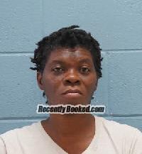 ELIZABETH ANJAIL SPRINGER Arrest Record & Booking Info – Lee County ...