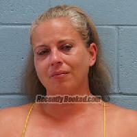 Recent Booking / Mugshot for Sarah MARIE Seaver in Lee County, Alabama