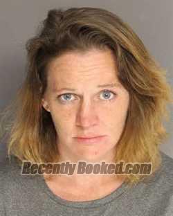 Recent Booking / Mugshot for Amy Caraway Brazil in Berkeley County ...