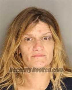 Recent Booking / Mugshot for Amanda Lee Dunich in Berkeley County ...