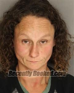 Recent Booking / Mugshot for Amanda Nichole Gore in Berkeley County ...