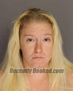 Recent Booking / Mugshot for Amanda Lynn Ley in Berkeley County, South ...