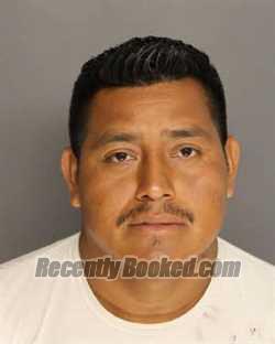 Recent Booking / Mugshot for Adan Bernabe Pelico-Lucas in Berkeley ...